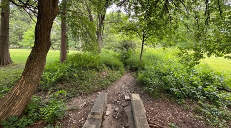 Middle Stream South | Tower Grove Park