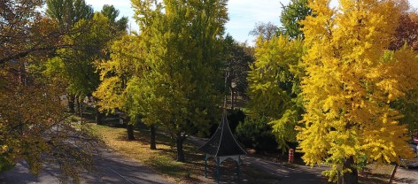 Sons of Rest Pavilion | Tower Grove Park